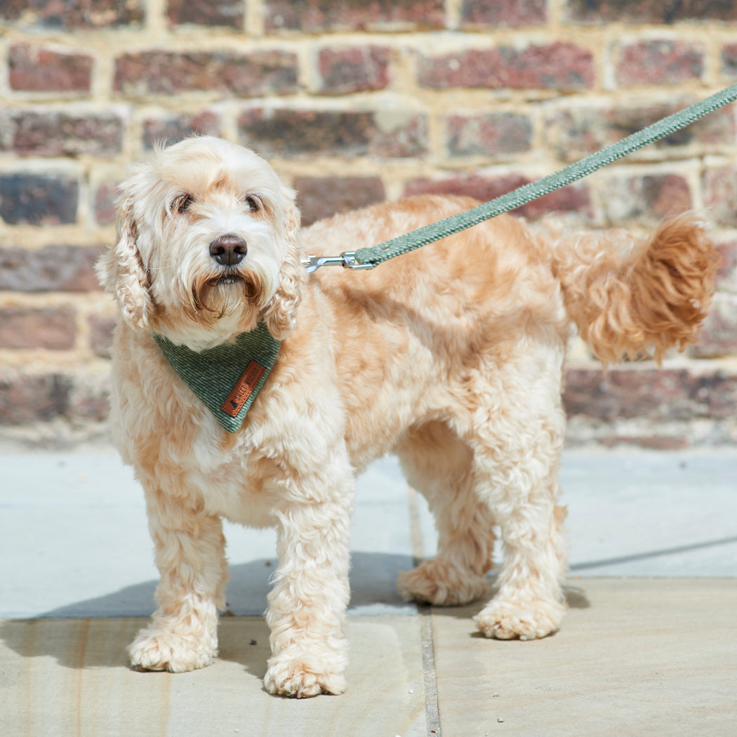 Sweet William Tweed Dog Bandana Green CHALK INTERIORS LONDON