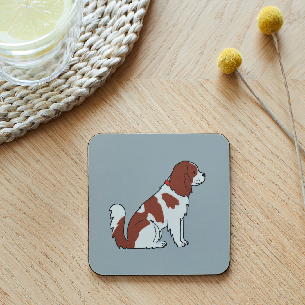 Sweet William Coaster, Cavalier King Charles Spaniel – CHALK INTERIORS ...