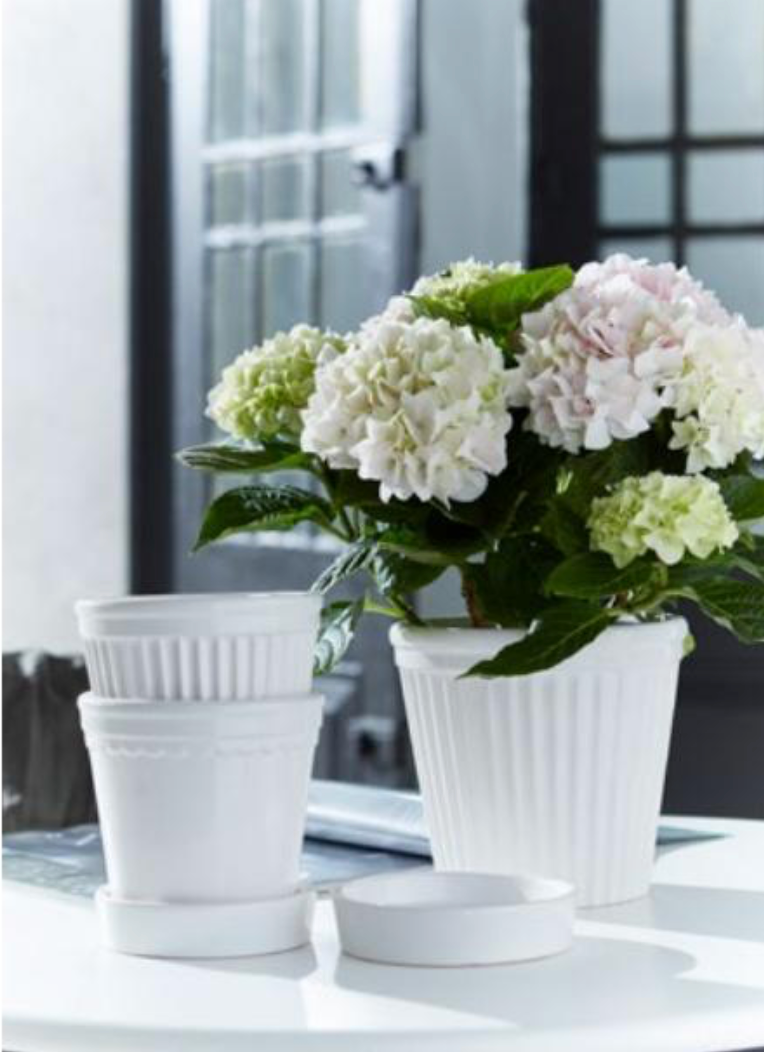 Wikholm Estrid Ceramic PLant Pot, White – CHALK INTERIORS | LONDON